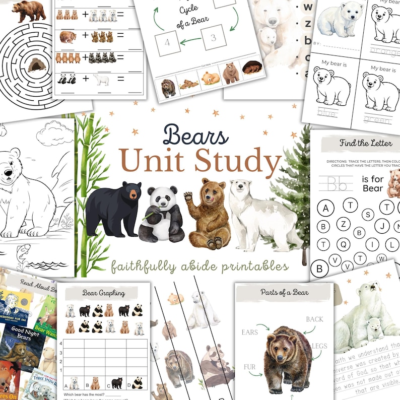 BEARS Mini Unit Study, Life Cycle, Anatomy, Elementary, Science ...
