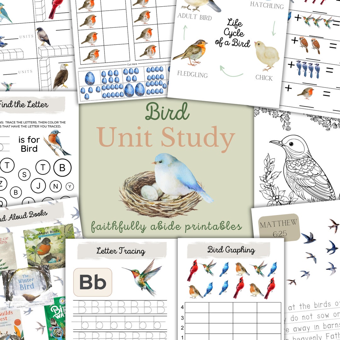 BIRD Mini Unit Study, Bird Activities, Numbers, Nature Study ...