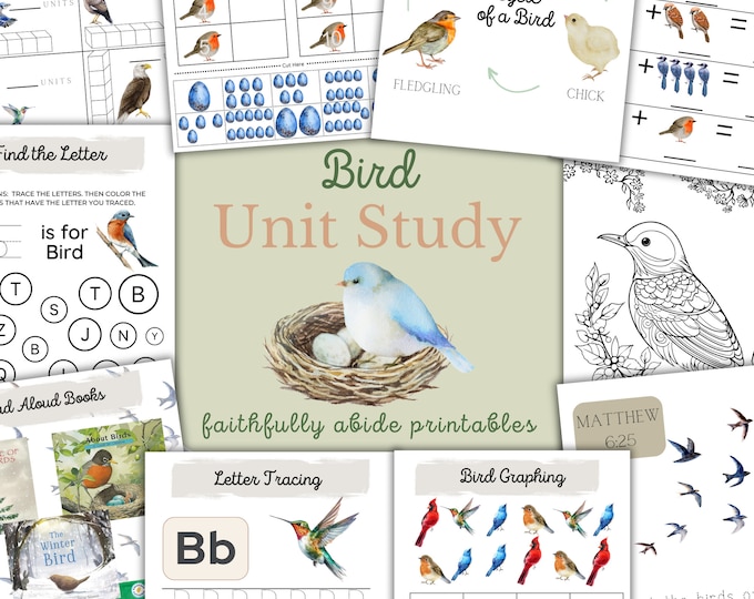 CANDY CANE Mini Unit Study, Christmas Printable Worksheets, Homeschool ...