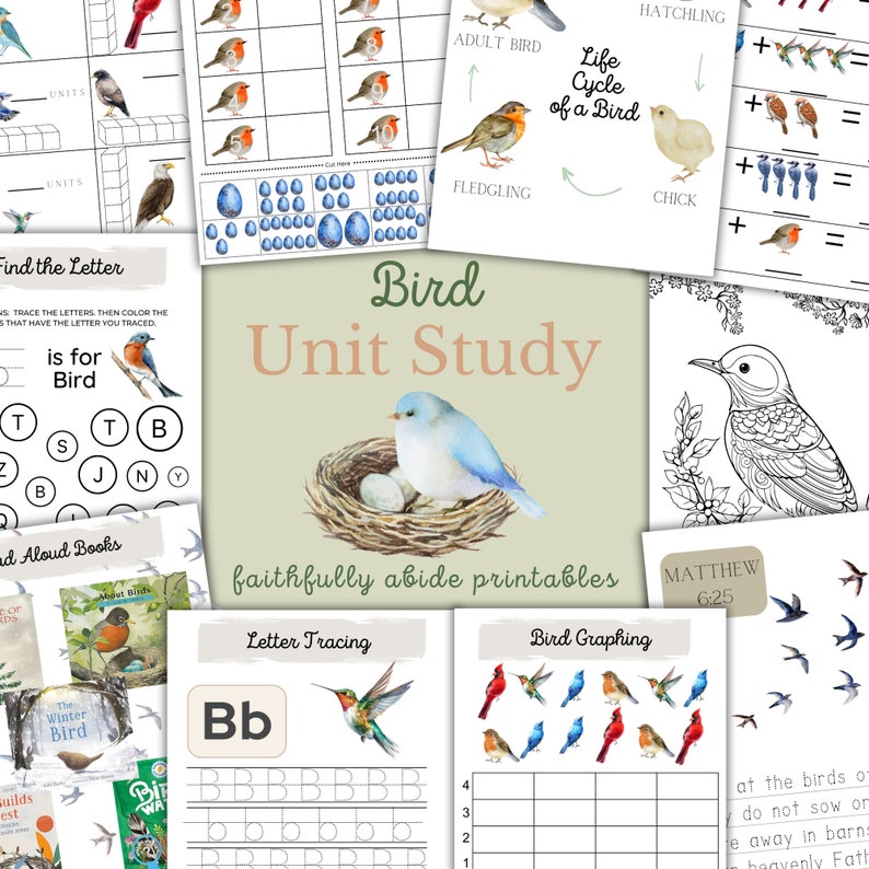 BIRD Mini Unit Study, Bird Activities, Numbers, Nature Study ...