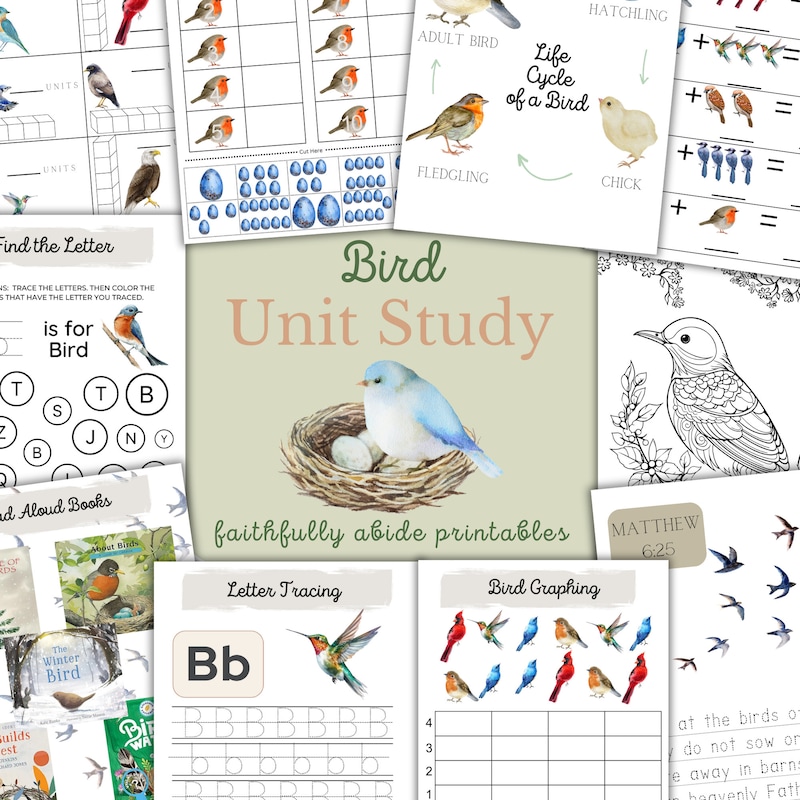 Polayadi Bird Game - Etsy Canada