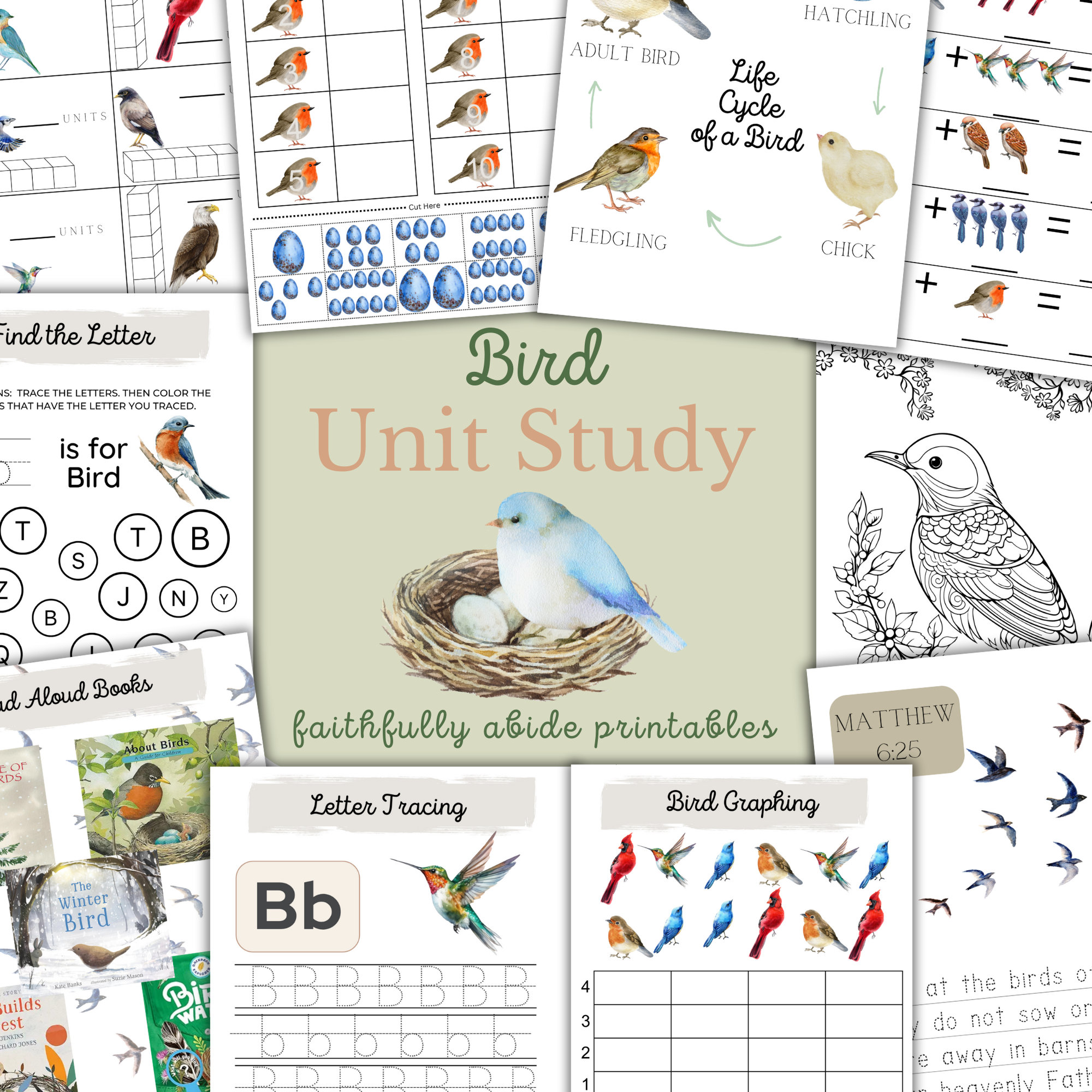BIRD Mini Unit Study, Bird Activities, Numbers, Nature Study ...