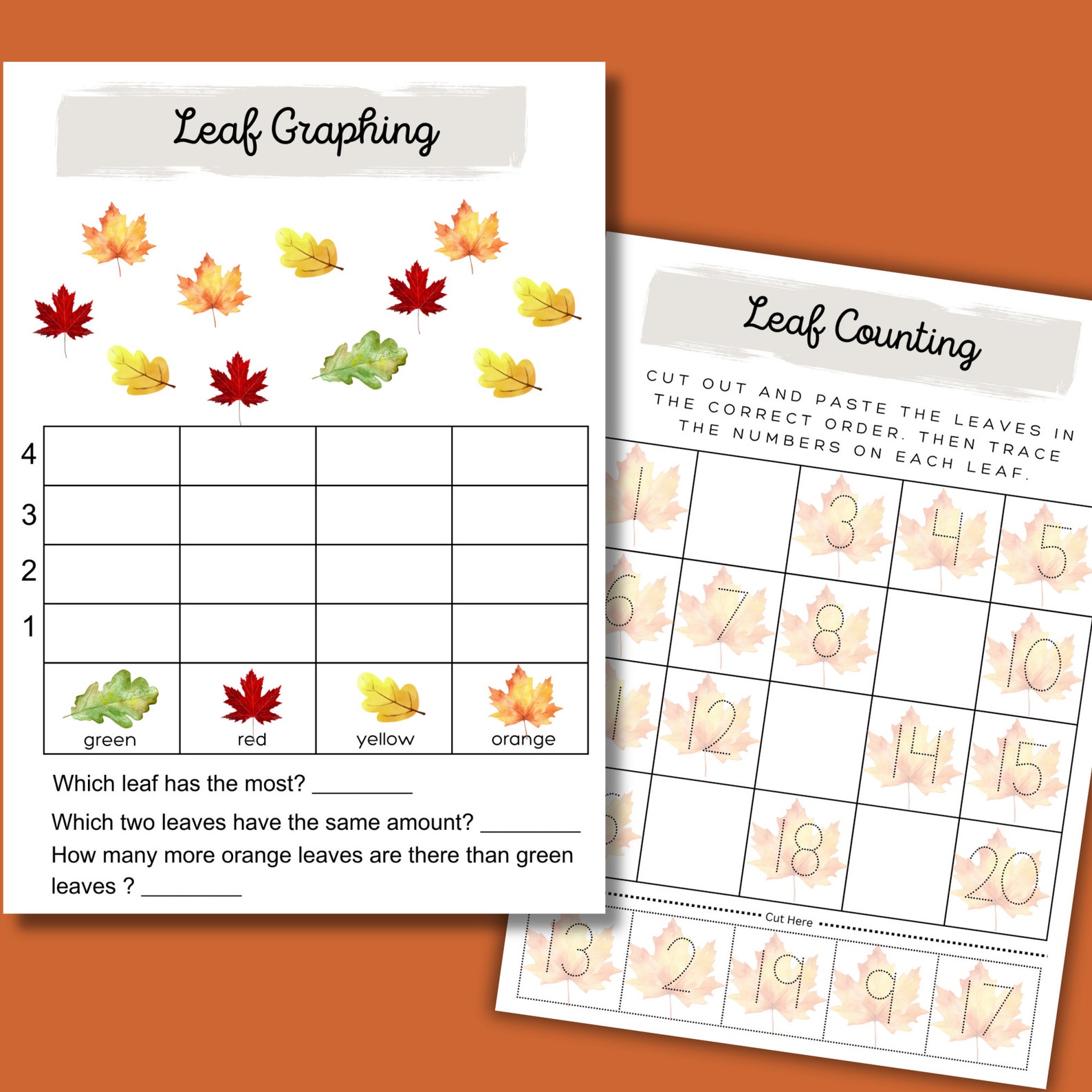AUTUMN LEAVES Mini Unit Study, Anatomy, Nature Study, Science ...