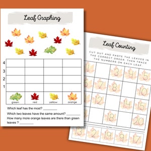 AUTUMN LEAVES Mini Unit Study, Anatomy, Nature Study, Science ...