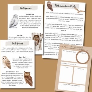 OWL Mini Unit Study, Life Cycle, Anatomy, Nature Study, Science ...