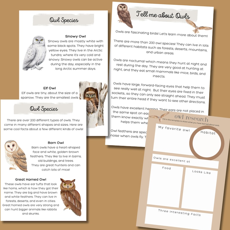 OWL Mini Unit Study, Life Cycle, Anatomy, Nature Study, Science ...