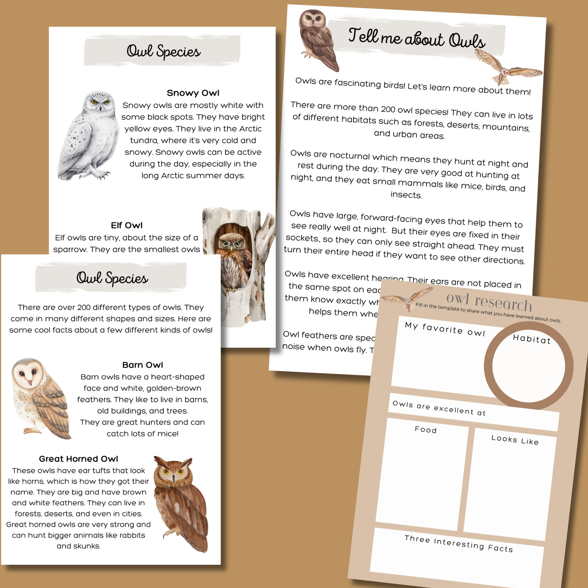 OWL Mini Unit Study, Life Cycle, Anatomy, Nature Study, Science ...