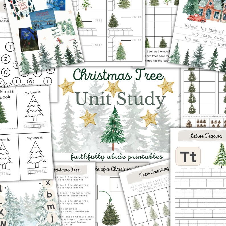CHRISTMAS TREE Mini Unit Study, Vocabulary, Evergreen Tree, Montessori ...