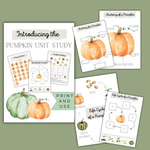 PUMPKIN Unit Study, Life Cycle, Anatomy, Nature Study, Science ...