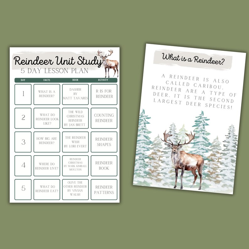 REINDEER Mini Unit Study, Life Cycle, Anatomy, Nature Study, Homeschool ...