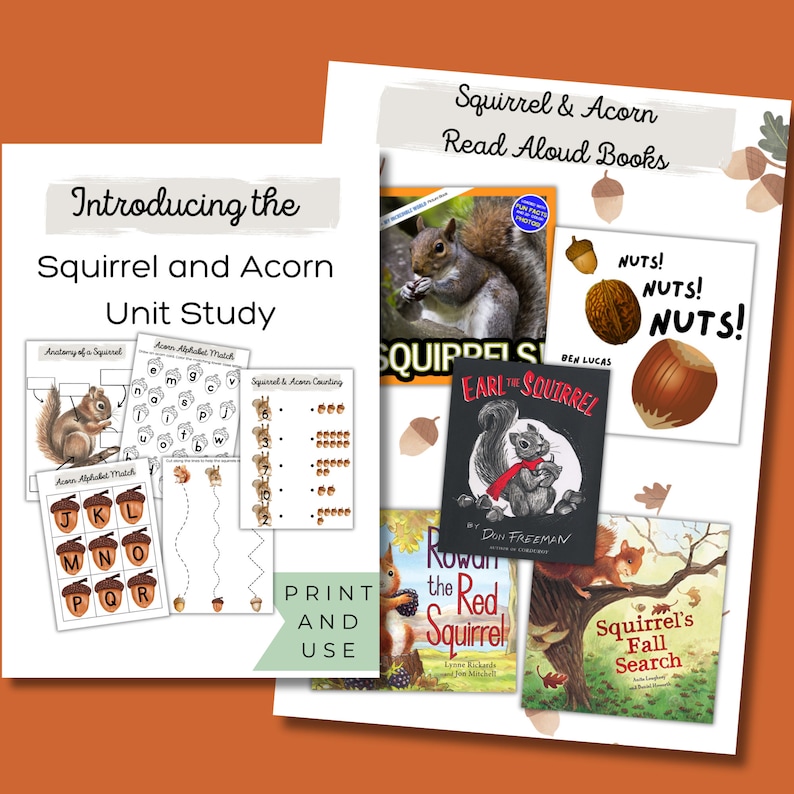 SQUIRREL Mini Unit Study, Life Cycle, Anatomy, Nature Study, Science ...