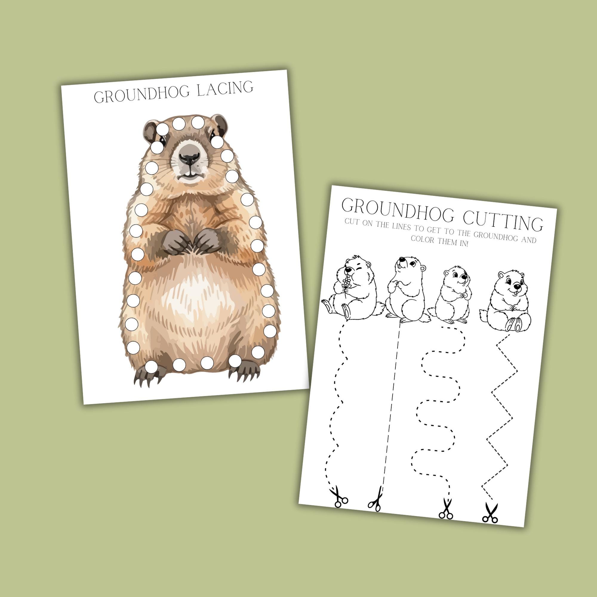 GROUNDHOG DAY Mini Unit Study, Science, Handwriting, Homeschool ...