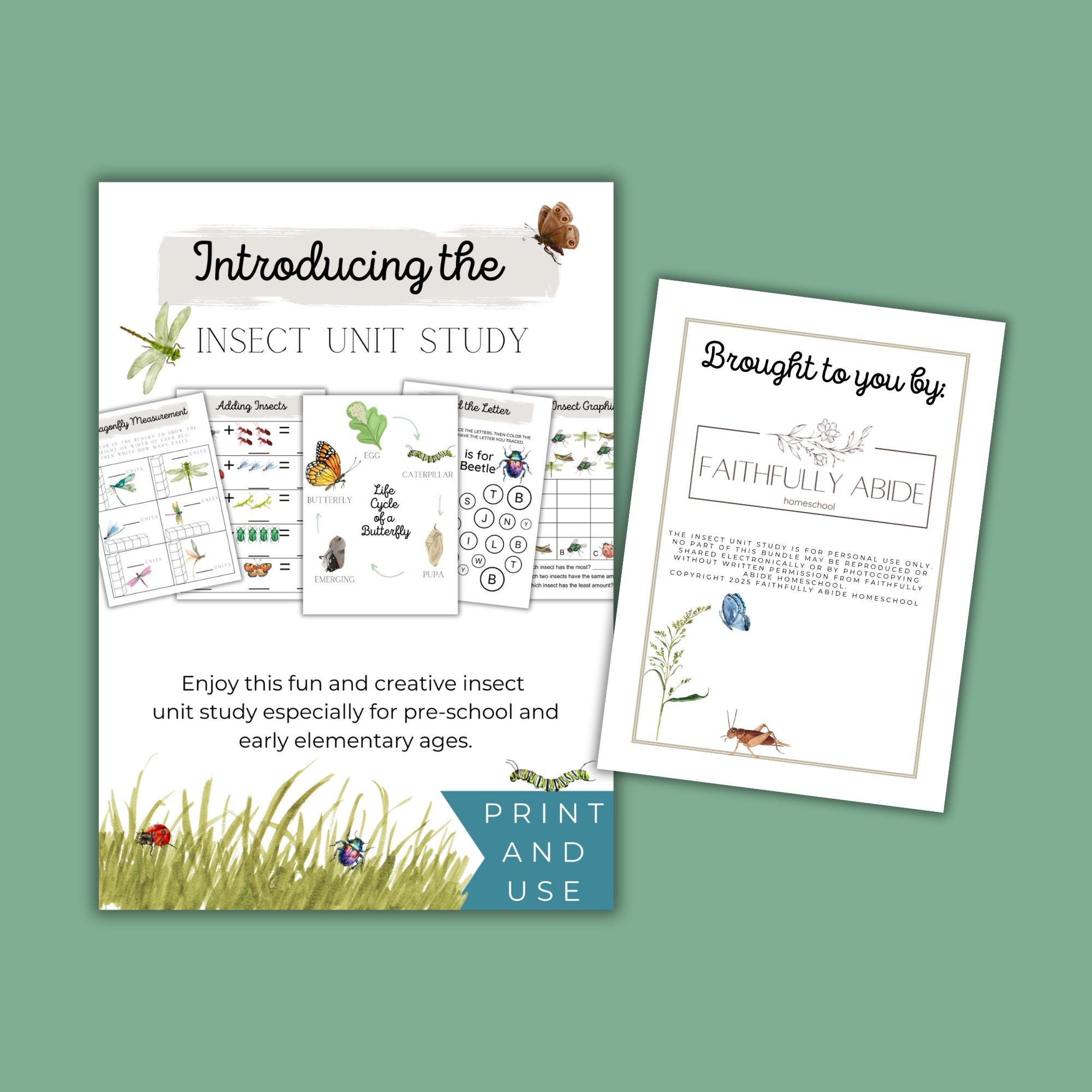 INSECTS Mini Unit Study, Insect Anatomy , Handwriting, Printable ...