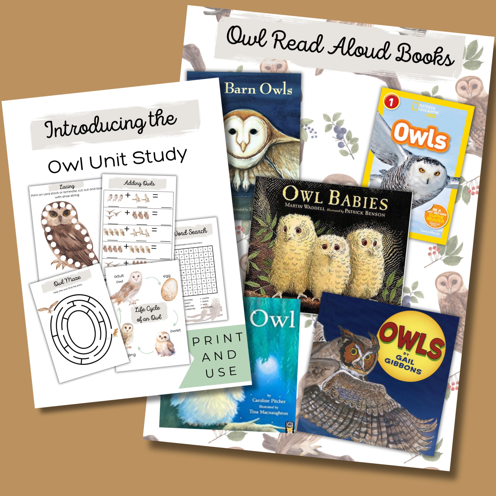 OWL Mini Unit Study, Life Cycle, Anatomy, Nature Study, Science ...