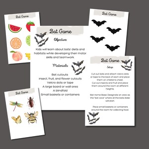 BATS Mini Unit Study, Life Cycle, Anatomy, Nature Study, Bat Study ...