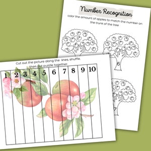 APPLE Mini Unit Study, Life Cycle, Anatomy, Nature Study, Science ...