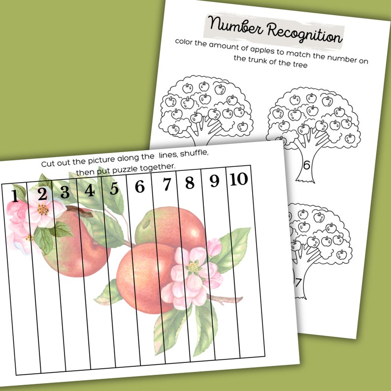 APPLE Mini Unit Study, Life Cycle, Anatomy, Nature Study, Science ...