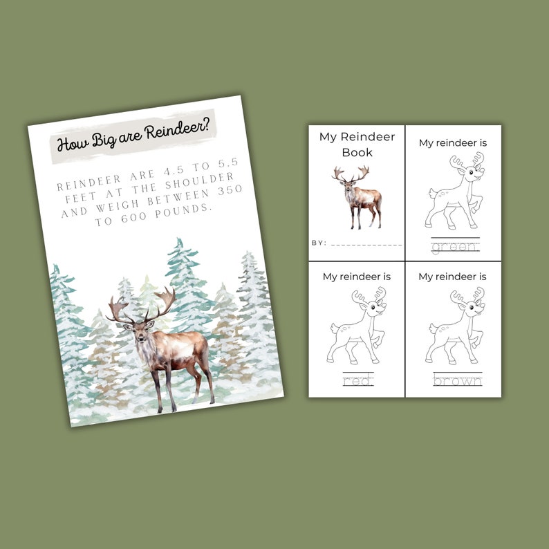REINDEER Mini Unit Study, Life Cycle, Anatomy, Nature Study, Homeschool ...