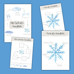 SNOWFLAKE Mini Unit Study, Christmas Printable Worksheets, Homeschool ...