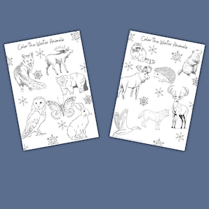 WINTER ANIMALS Unit Study, Vocabulary, Anatomy, Montessori, Homeschool ...
