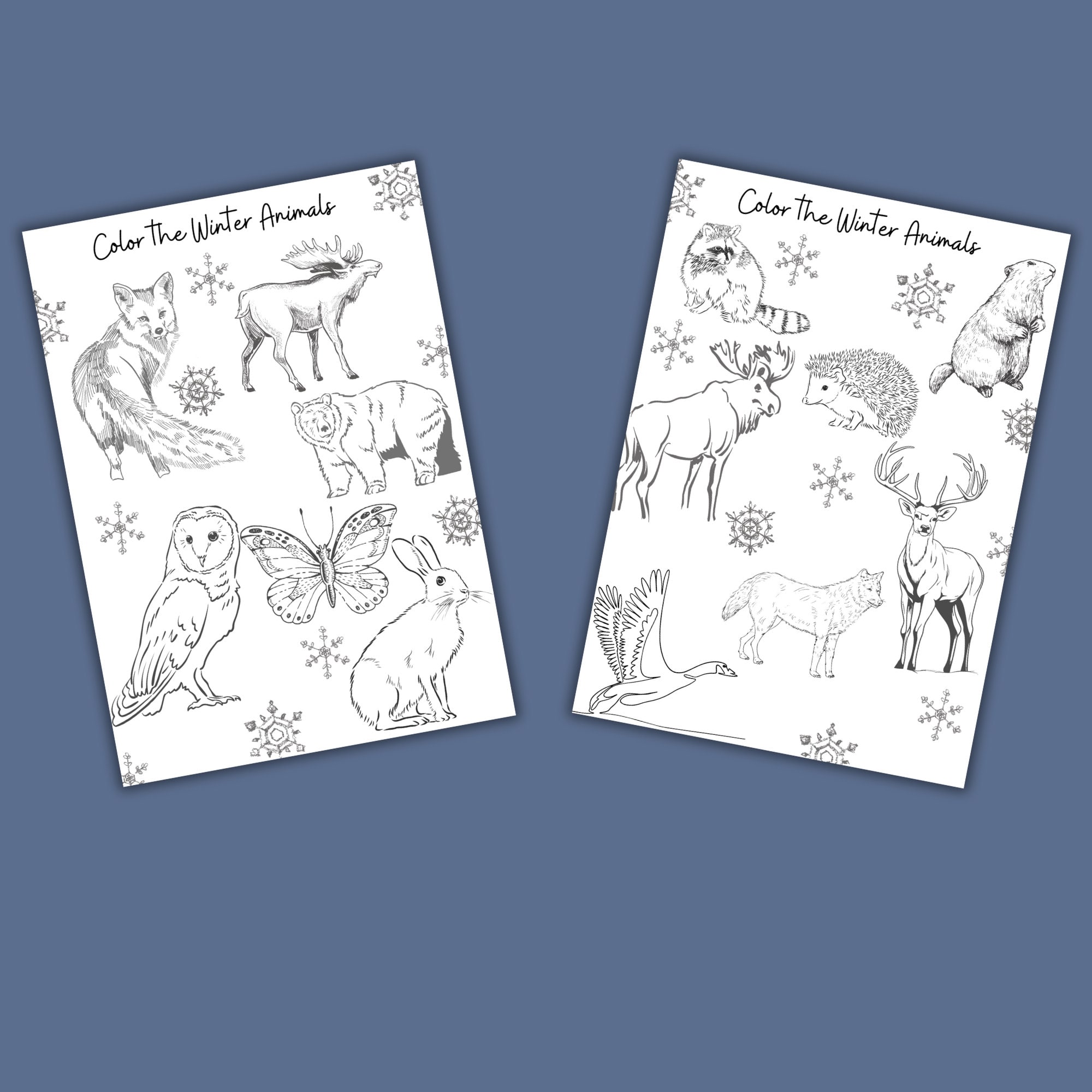 WINTER ANIMALS Unit Study, Vocabulary, Anatomy, Montessori, Homeschool ...