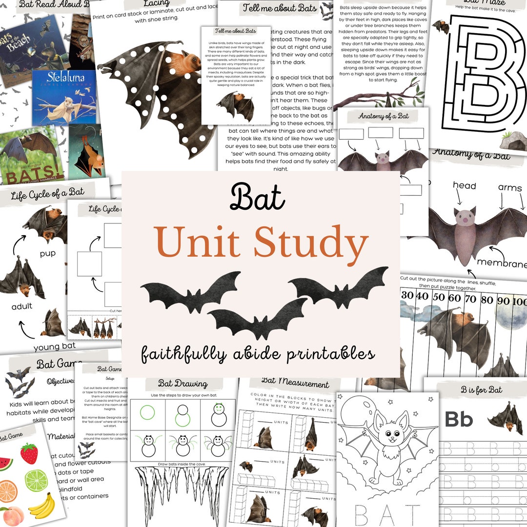 BATS Mini Unit Study, Life Cycle, Anatomy, Nature Study, Bat Study ...