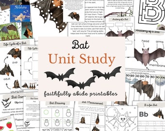 BAT Life Cycle, Nature Study, Homeschool Printable, Instant Download - Etsy