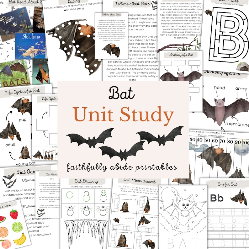 BATS Mini Unit Study, Life Cycle, Anatomy, Nature Study, Bat Study ...