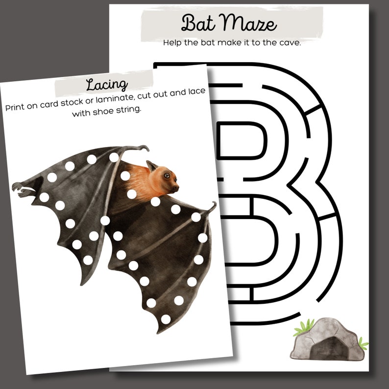 BATS Mini Unit Study, Life Cycle, Anatomy, Nature Study, Bat Study ...