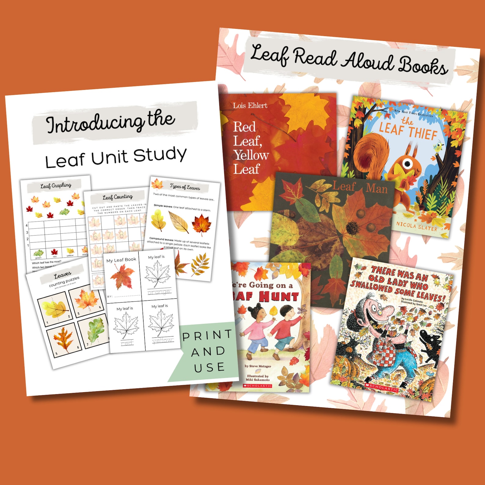 AUTUMN LEAVES Mini Unit Study, Anatomy, Nature Study, Science ...