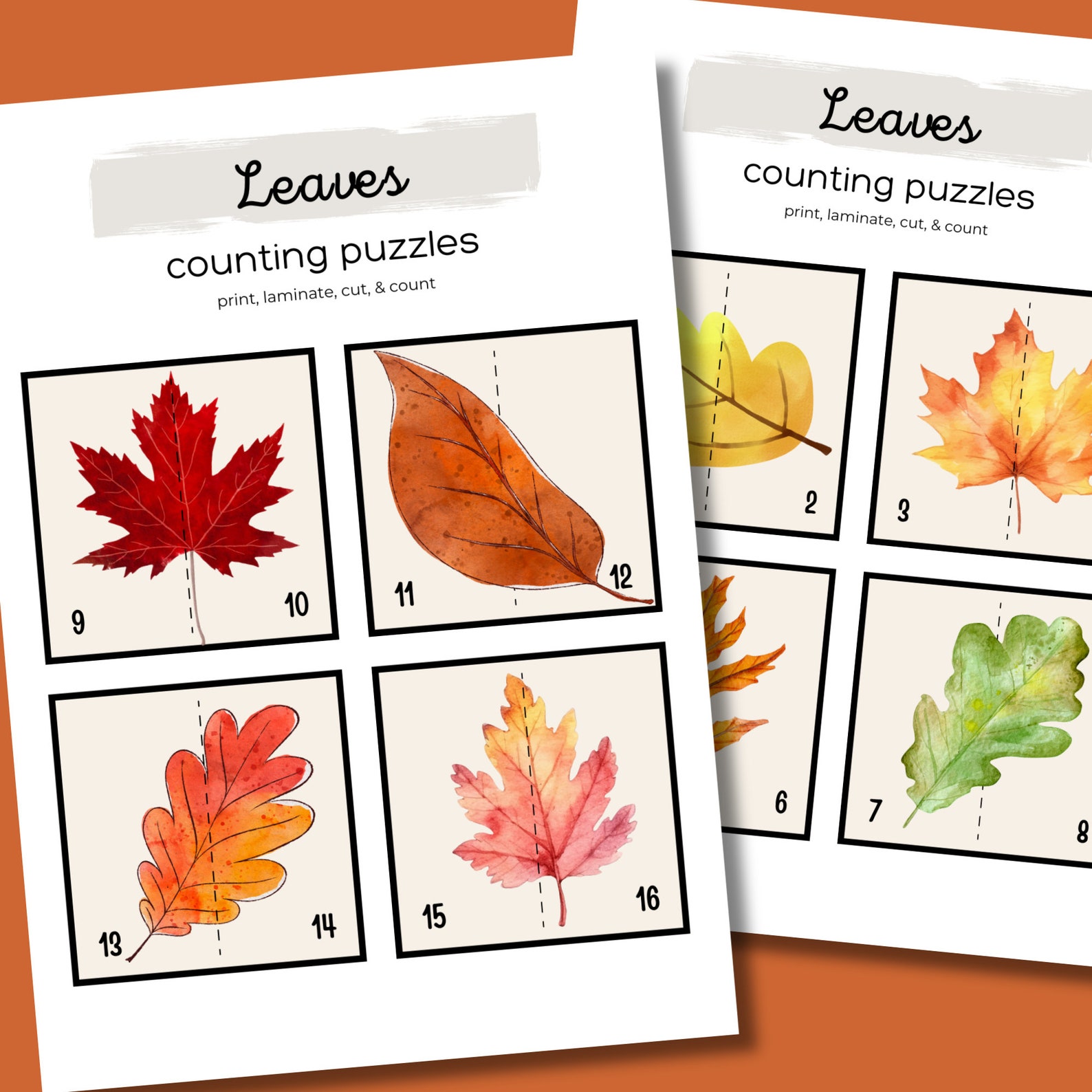 AUTUMN LEAVES Mini Unit Study, Anatomy, Nature Study, Science ...