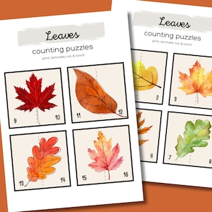 AUTUMN LEAVES Mini Unit Study, Anatomy, Nature Study, Science ...