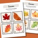AUTUMN LEAVES Mini Unit Study, Anatomy, Nature Study, Science ...