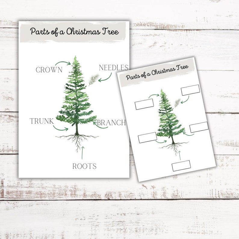 CHRISTMAS TREE Mini Unit Study, Vocabulary, Evergreen Tree, Montessori ...