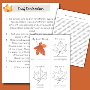 AUTUMN LEAVES Mini Unit Study, Anatomy, Nature Study, Science ...