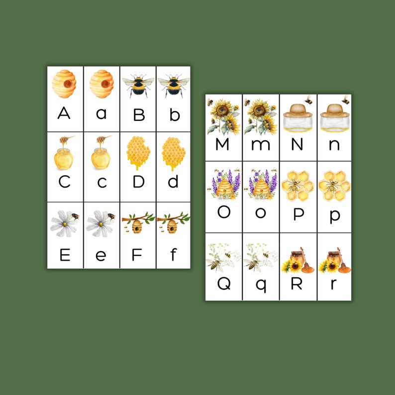 HONEY BEE Unit Study, Pre-k to 2nd Grade, Life Cycle, Anatomy, Nature ...
