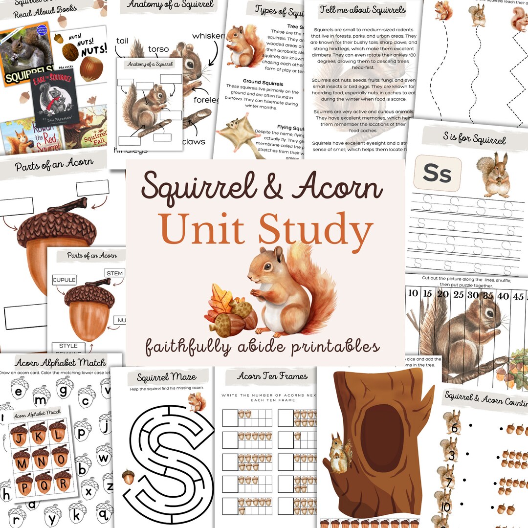 SQUIRREL Mini Unit Study, Life Cycle, Anatomy, Nature Study, Science ...