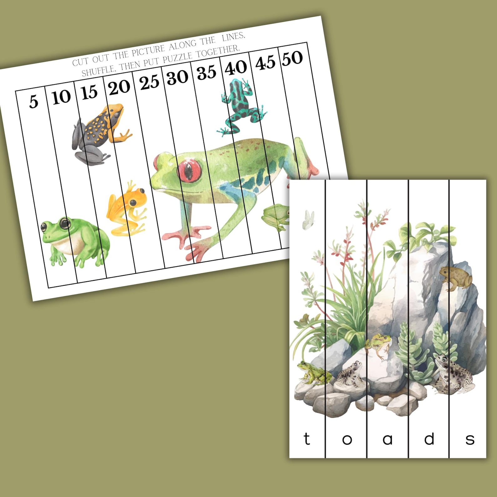 FROGS and TOADS Mini Unit Study, Frog Anatomy , Handwriting, Printable ...