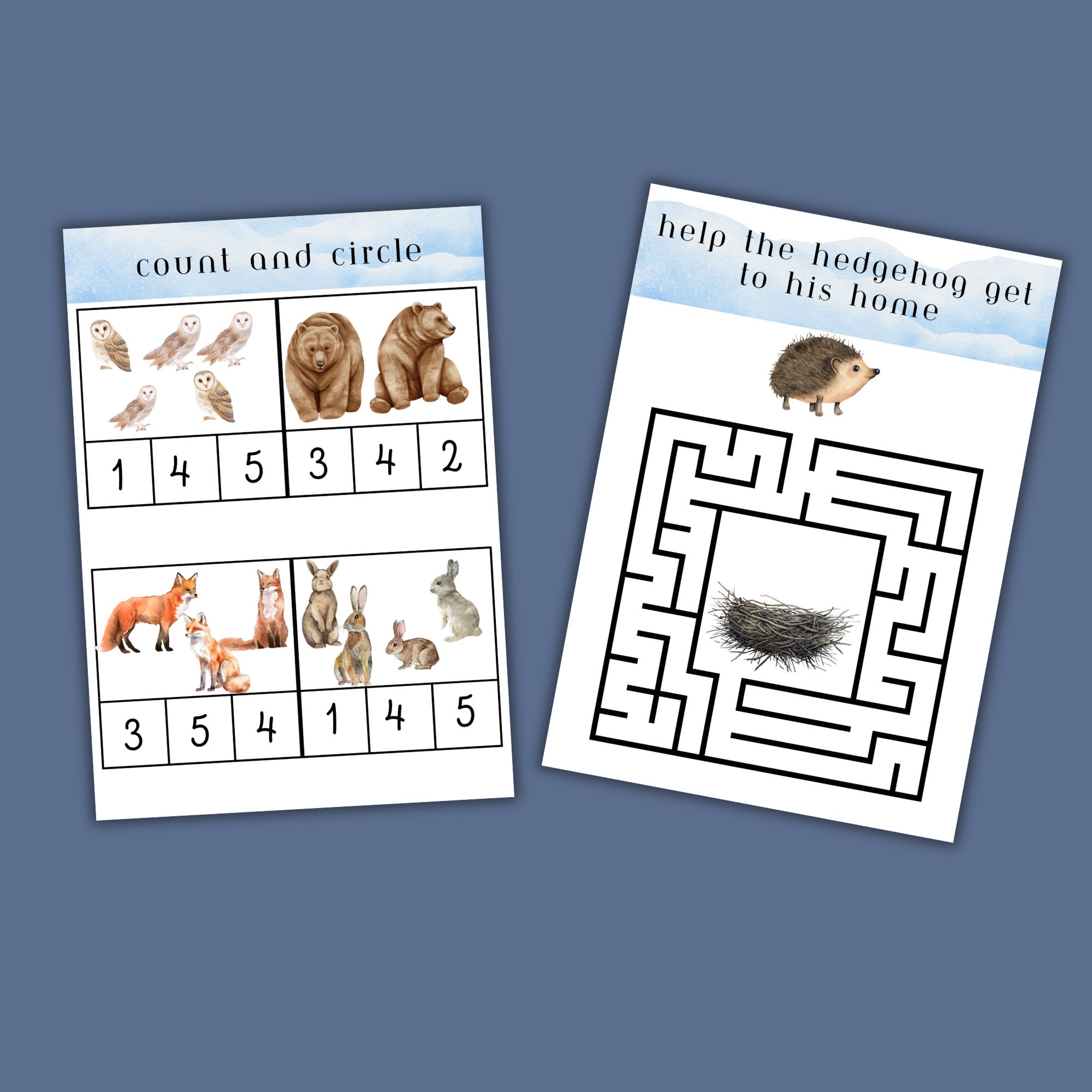 WINTER ANIMALS Unit Study, Vocabulary, Anatomy, Montessori, Homeschool ...