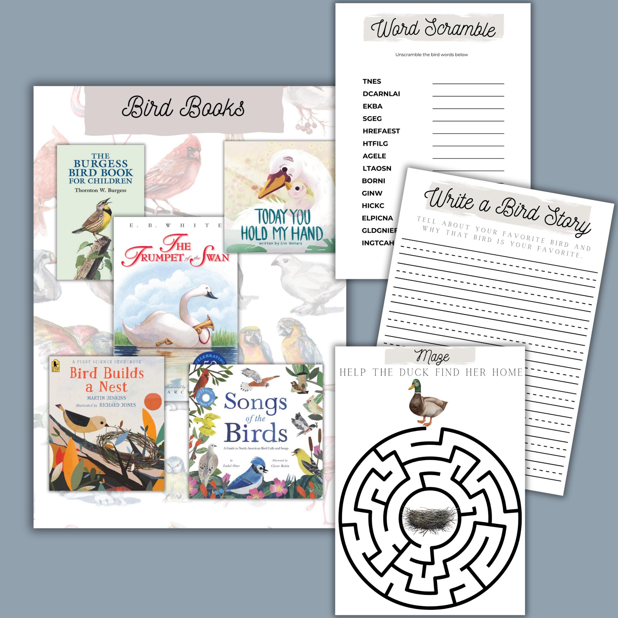 BIRDS Unit Study, Bird Activities, Bird Anatomy, Nature Study ...