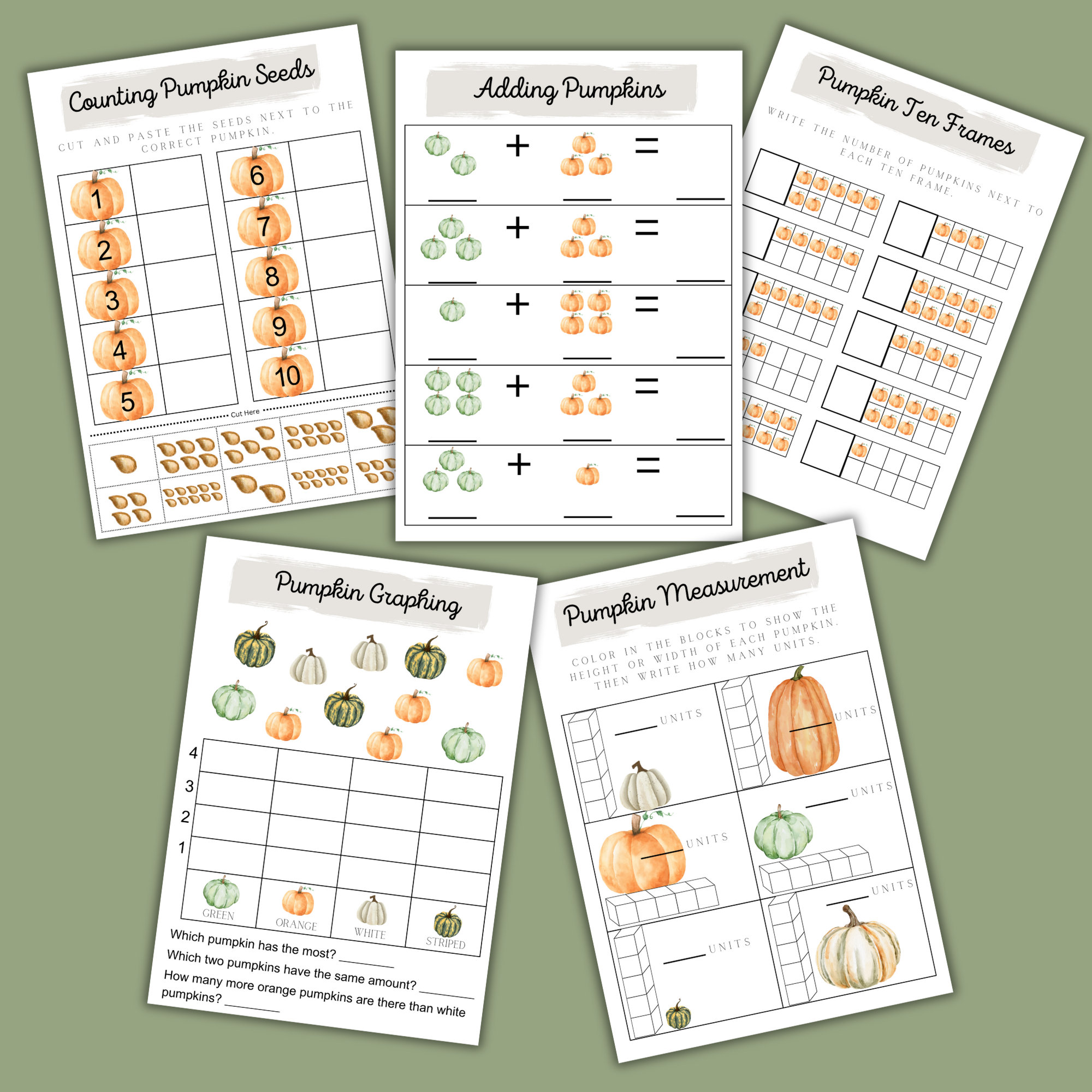 PUMPKIN Unit Study, Life Cycle, Anatomy, Nature Study, Science ...