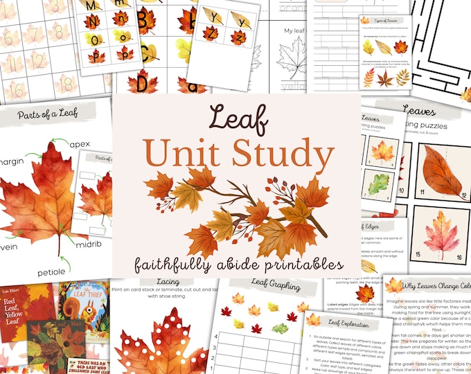 CANDY CANE Mini Unit Study, Christmas Printable Worksheets, Homeschool ...