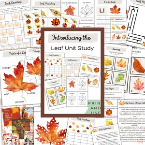 FALL Unit Study, Life Cycle, Anatomy, Nature Study, Science ...