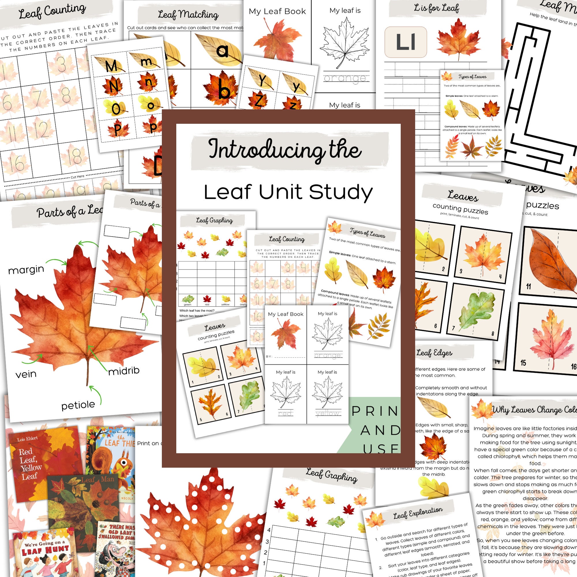 FALL Unit Study, Life Cycle, Anatomy, Nature Study, Science ...
