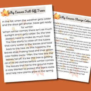 AUTUMN LEAVES Mini Unit Study, Anatomy, Nature Study, Science ...