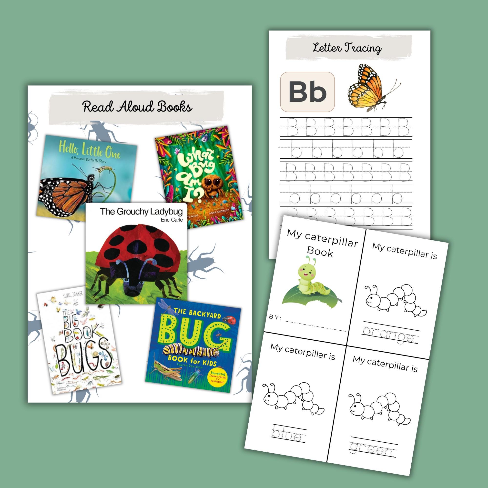 INSECTS Mini Unit Study, Insect Anatomy , Handwriting, Printable ...