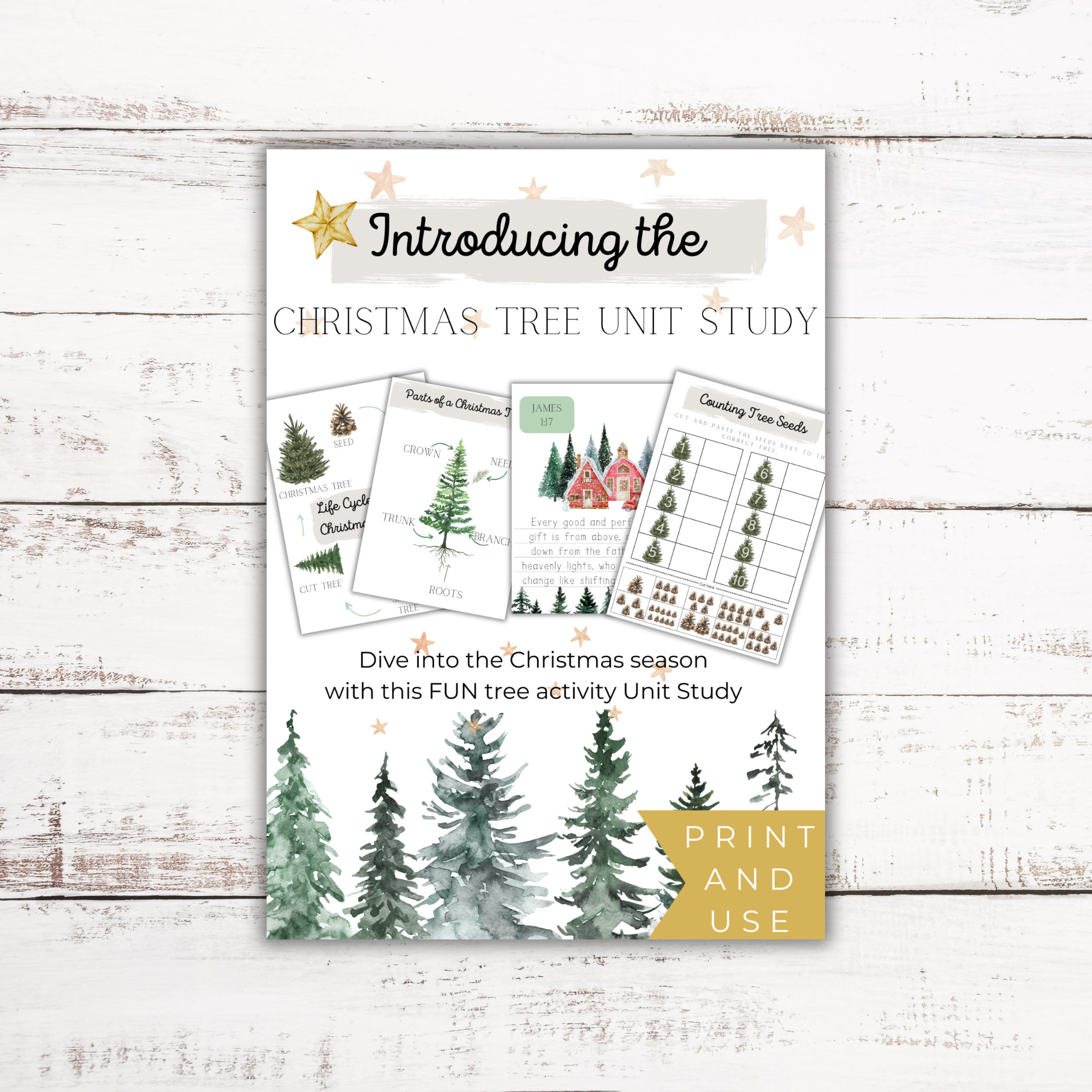 CHRISTMAS TREE Mini Unit Study, Vocabulary, Evergreen Tree, Montessori ...