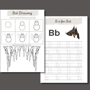 BATS Mini Unit Study, Life Cycle, Anatomy, Nature Study, Bat Study ...