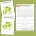 APPLE Mini Unit Study, Life Cycle, Anatomy, Nature Study, Science ...