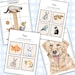 PETS Unit Study, Pre-k to 2nd Grade, Cats and Dogs, Life Cycle, Puzzle ...